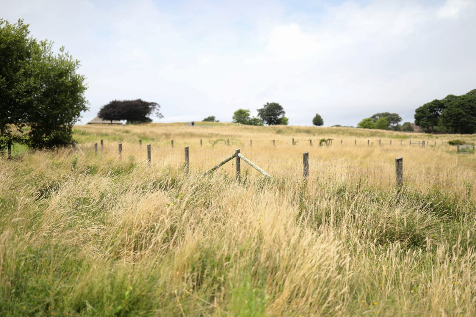 The Farm - Ocean Hour Farm