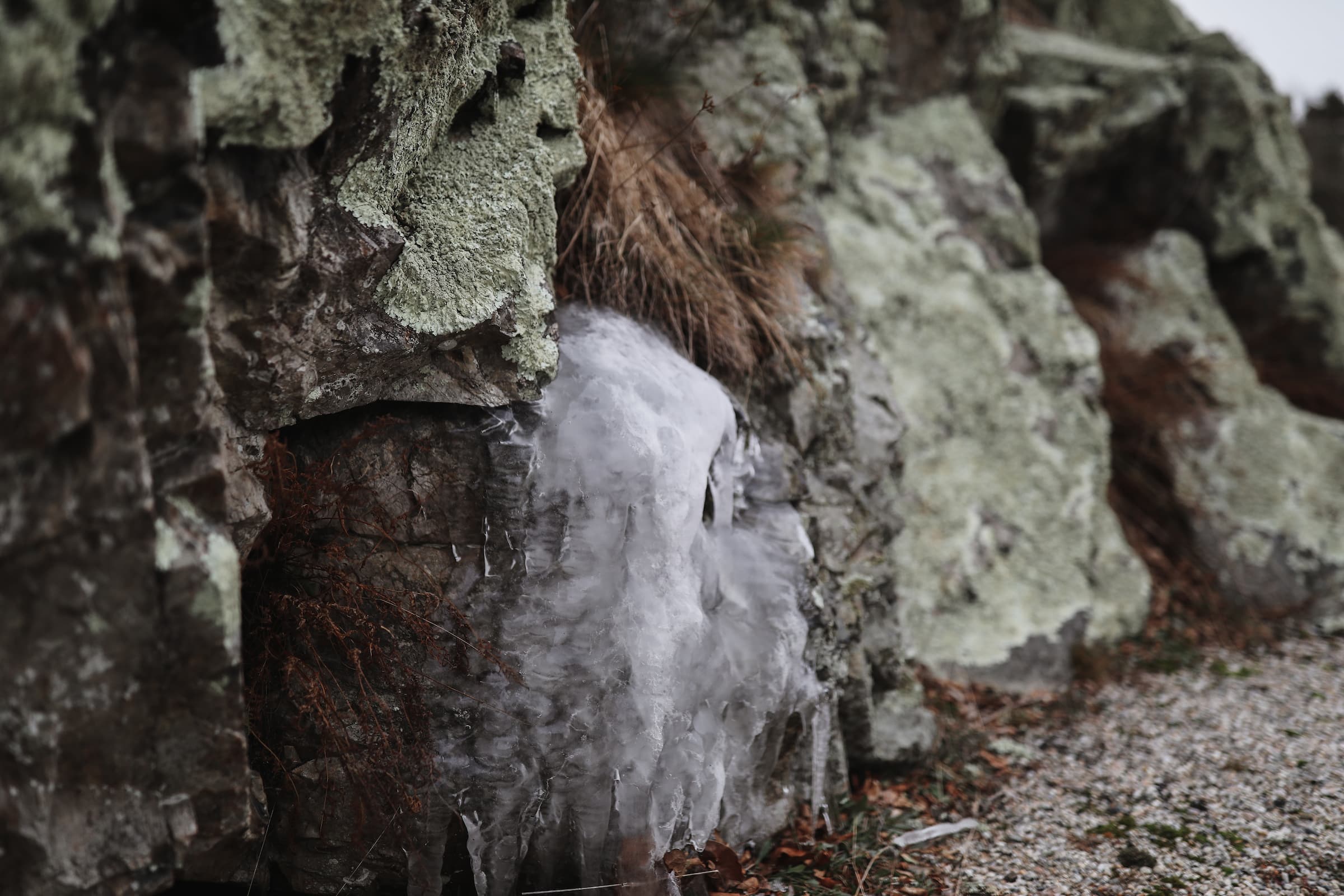 What is the scale of permanence? A design tool for landscape.